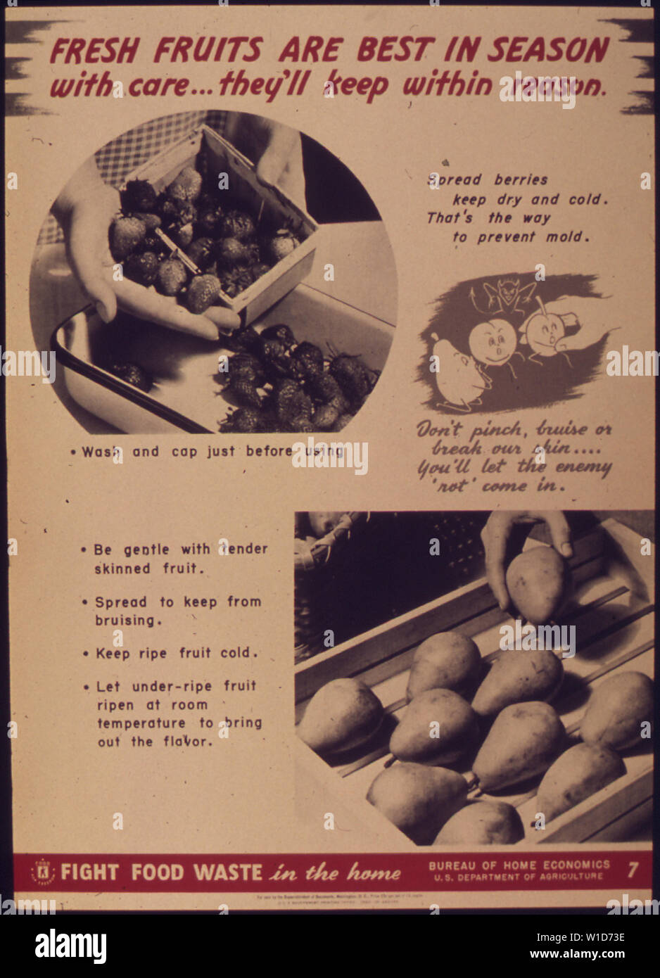 Fresh Fruits are Best in Season with Care...they'll keep within reason ...