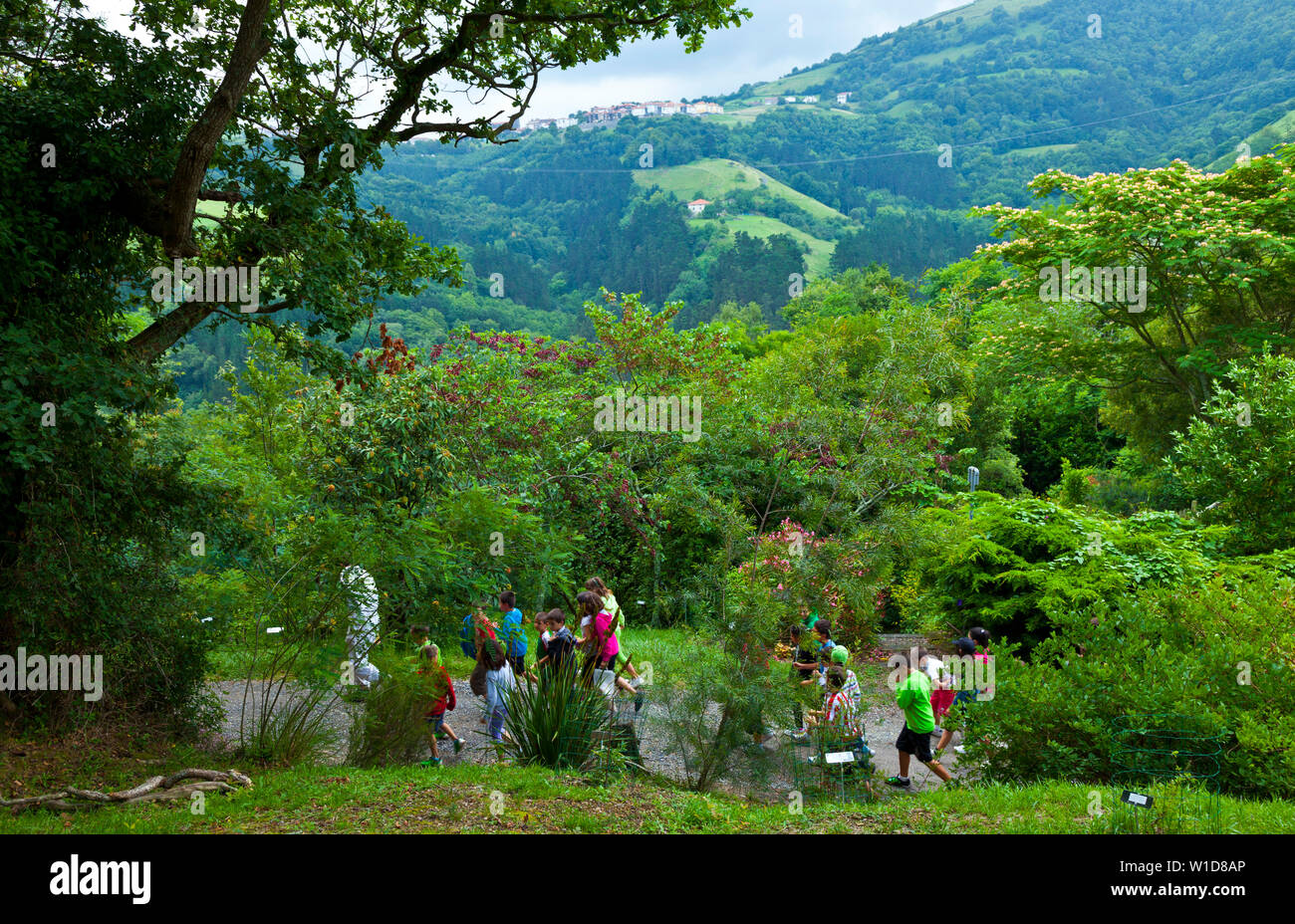 Pagoeta Natural Park. Aia Valley. Gipuzkoa. Basque Country. Spain Stock ...