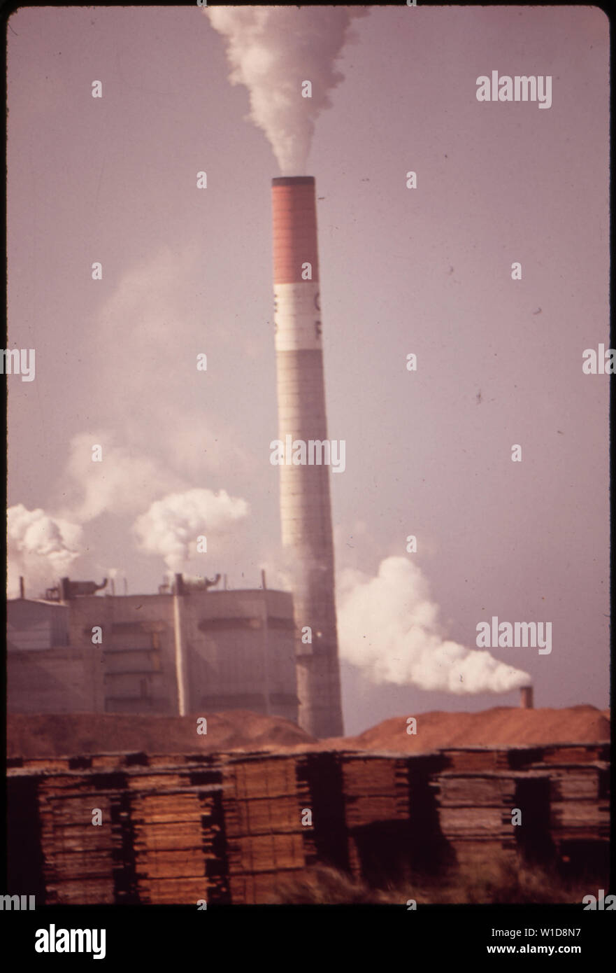 GEORGIA PACIFIC LUMBER MILL; General notes: English: The Georgia ...