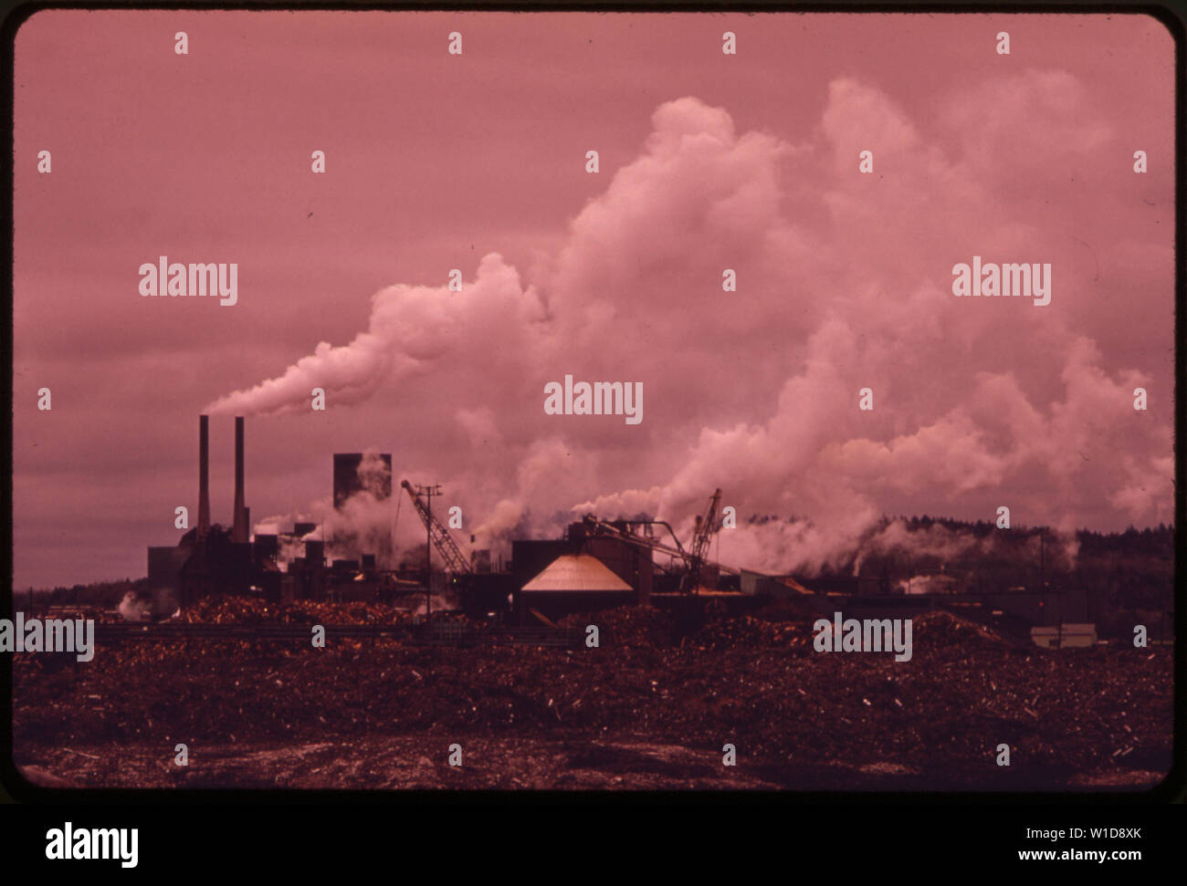 GEORGIA PACIFIC PAPER PLANT GOING FULL BLAST--IN WOODLAND ON THE ST ...