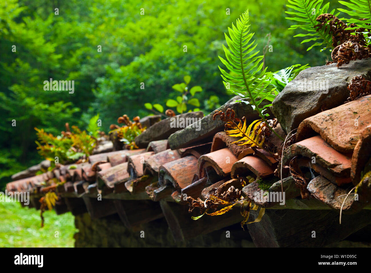 Waterwheel. Pagoeta Natural Park. Aia Valley. Gipuzkoa. Basque Country ...