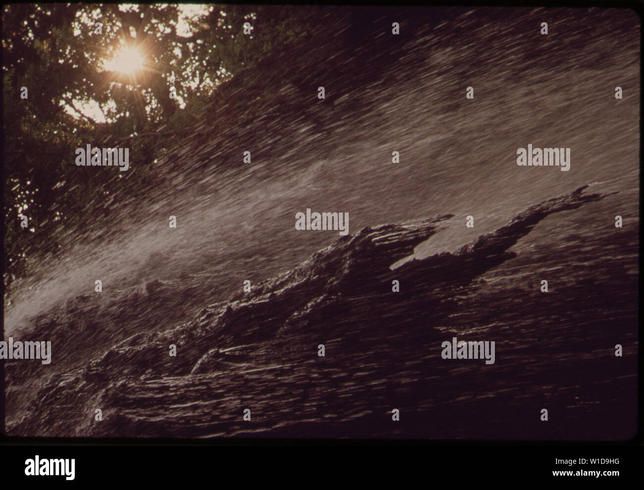 GORMAN FALLS, A PURE SPRING WATER CREEK. IT EMPTIES INTO THE COLORADO ...