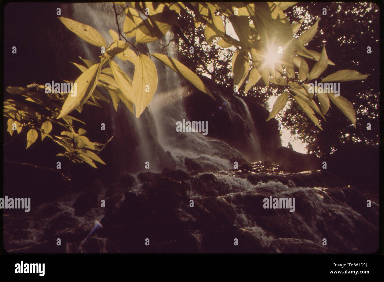 GORMAN FALLS, A CLEAN SPRING WATER CREEK. IT EMPTIES INTO THE COLORADO ...