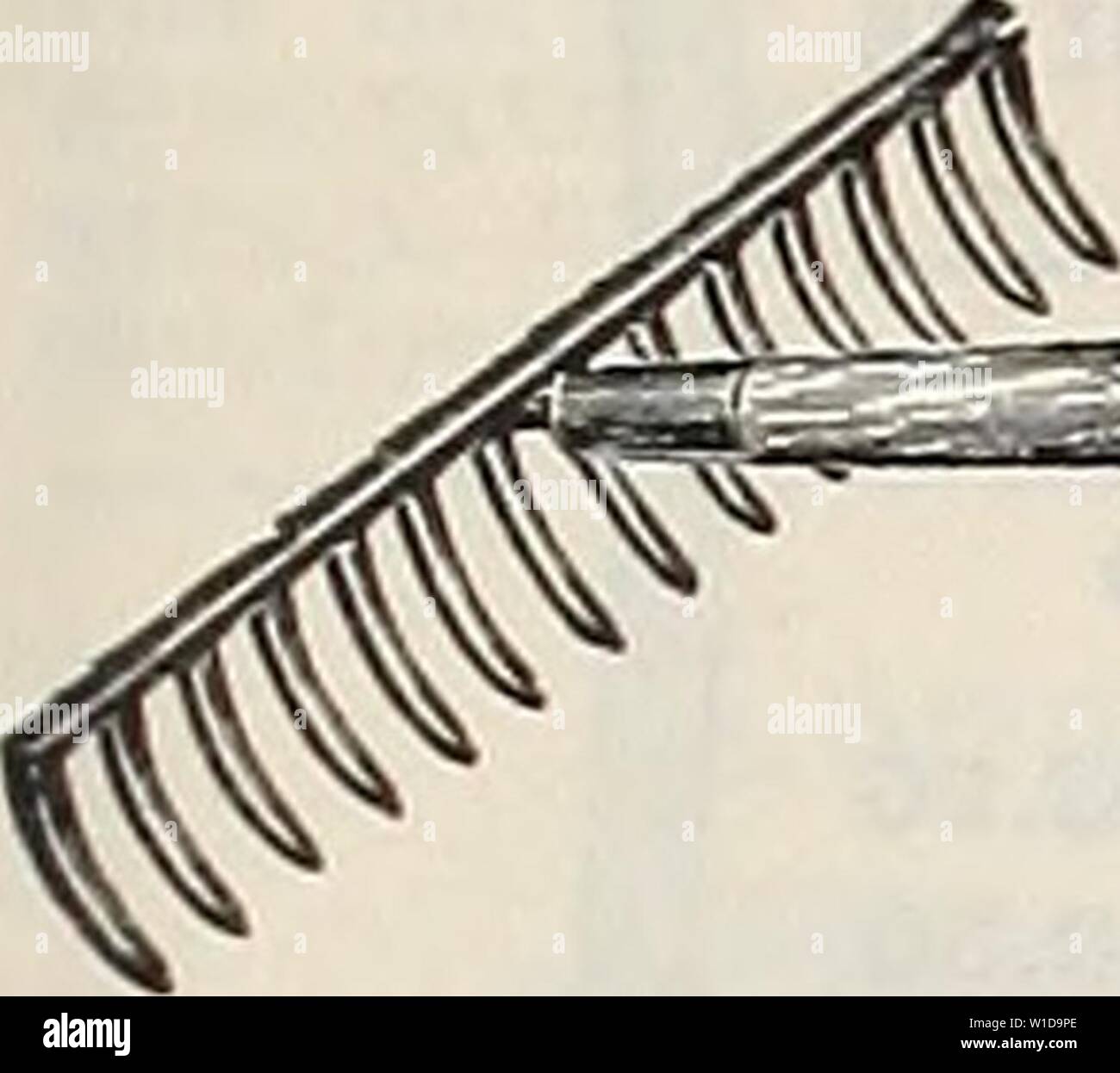 Tooth rakes hi-res stock photography and images - Alamy