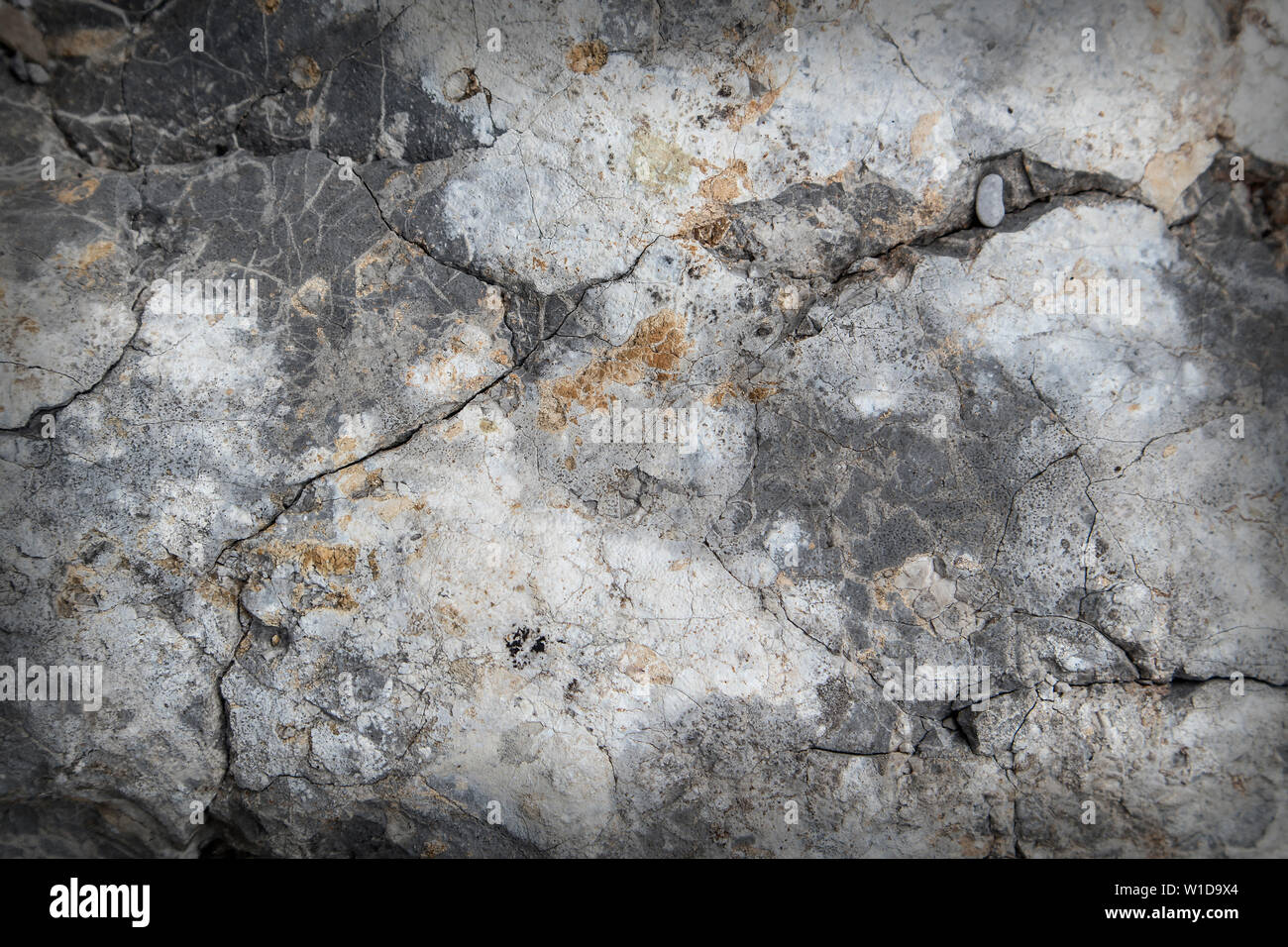 Textured stone surface hi-res stock photography and images - Alamy