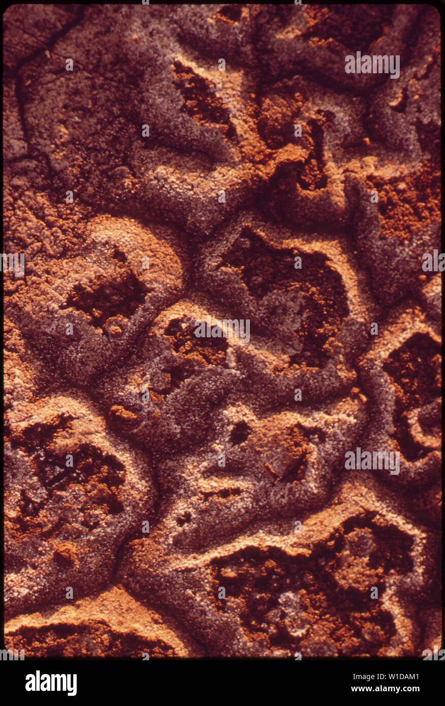 GROUND FORMATION AT THE LESLIE SALT PONDS Stock Photo - Alamy