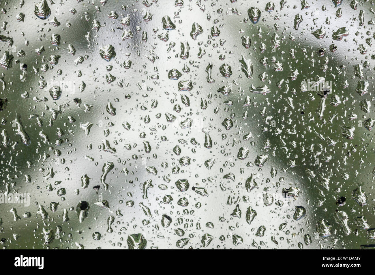 Raindrops on a windowpane with green background Stock Photo - Alamy