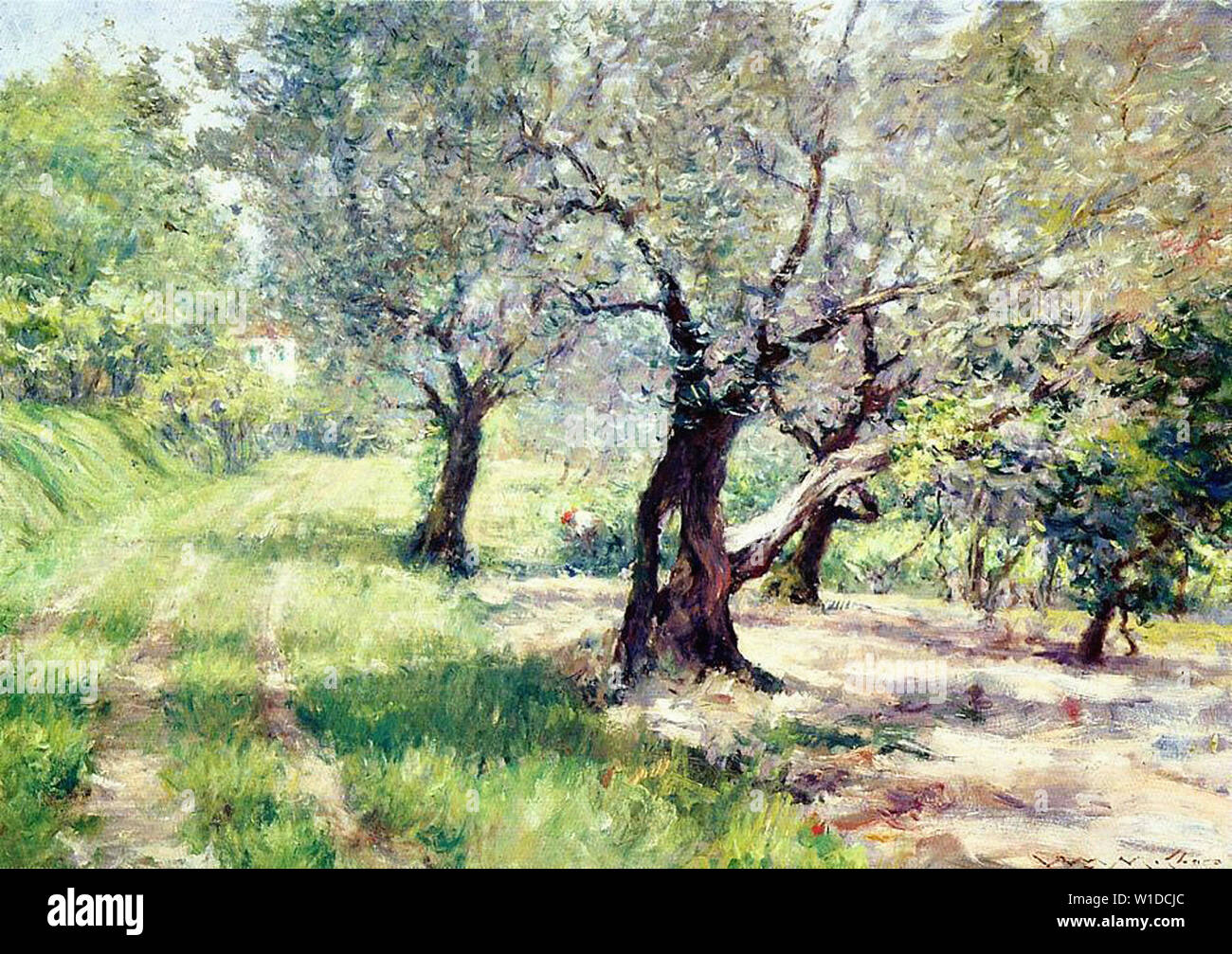 William Merritt Chase - Olive Grove 1910 Stock Photo - Alamy