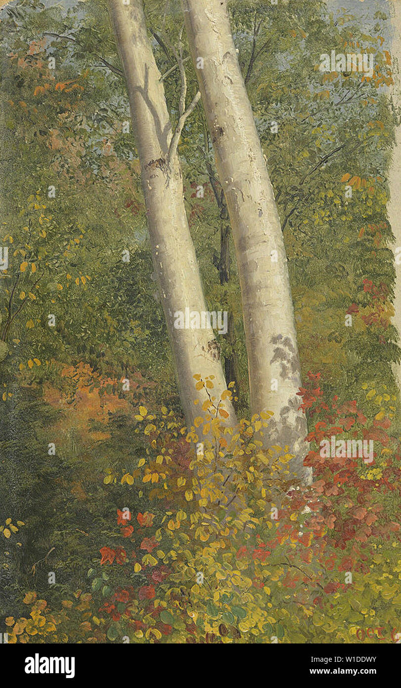 Frederic church autumn hi-res stock photography and images - Alamy