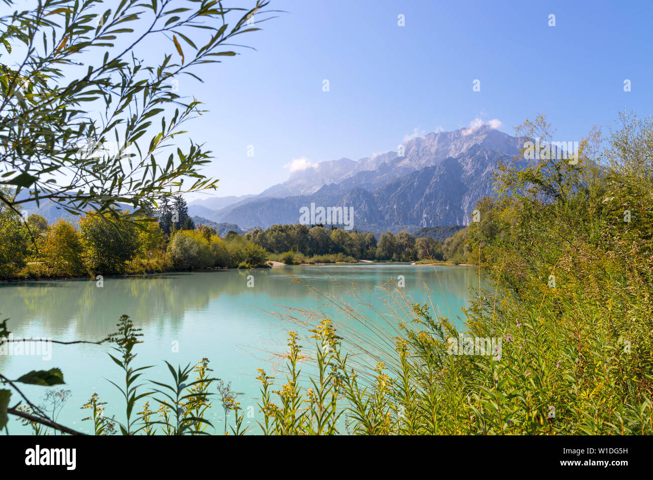 Idyllic shore landscape: Blue clear water, flowers, pebble beach and ...
