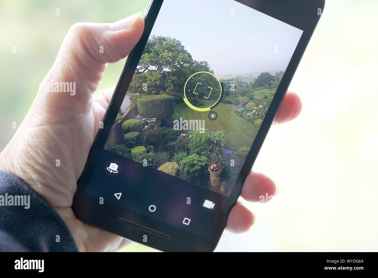 a garden on a screen of a mobile phone camera hand held Stock Photo - Alamy