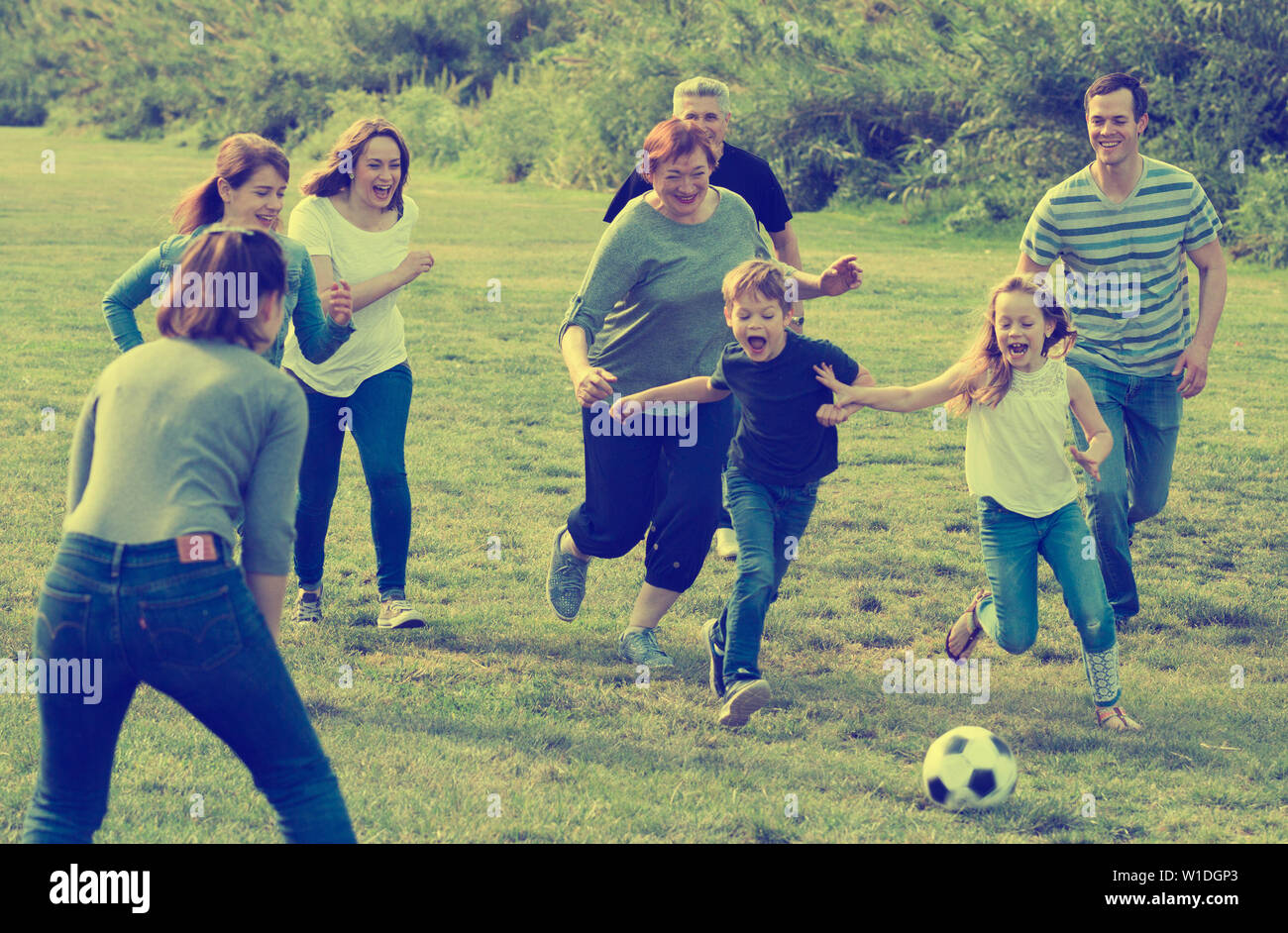Smiling people of different ages playing football on grass Stock Photo ...