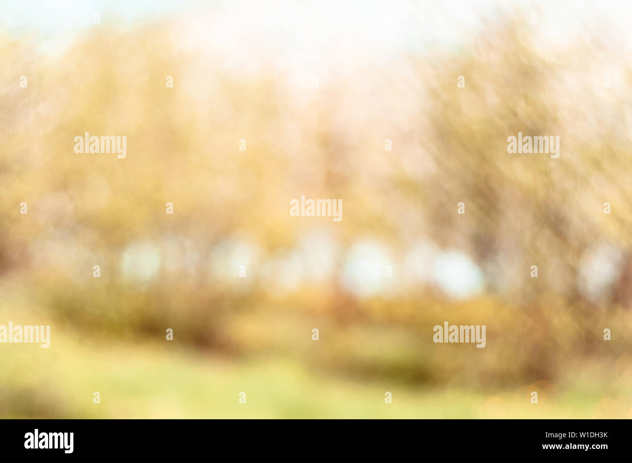 Spring garden background Stock Photo - Alamy