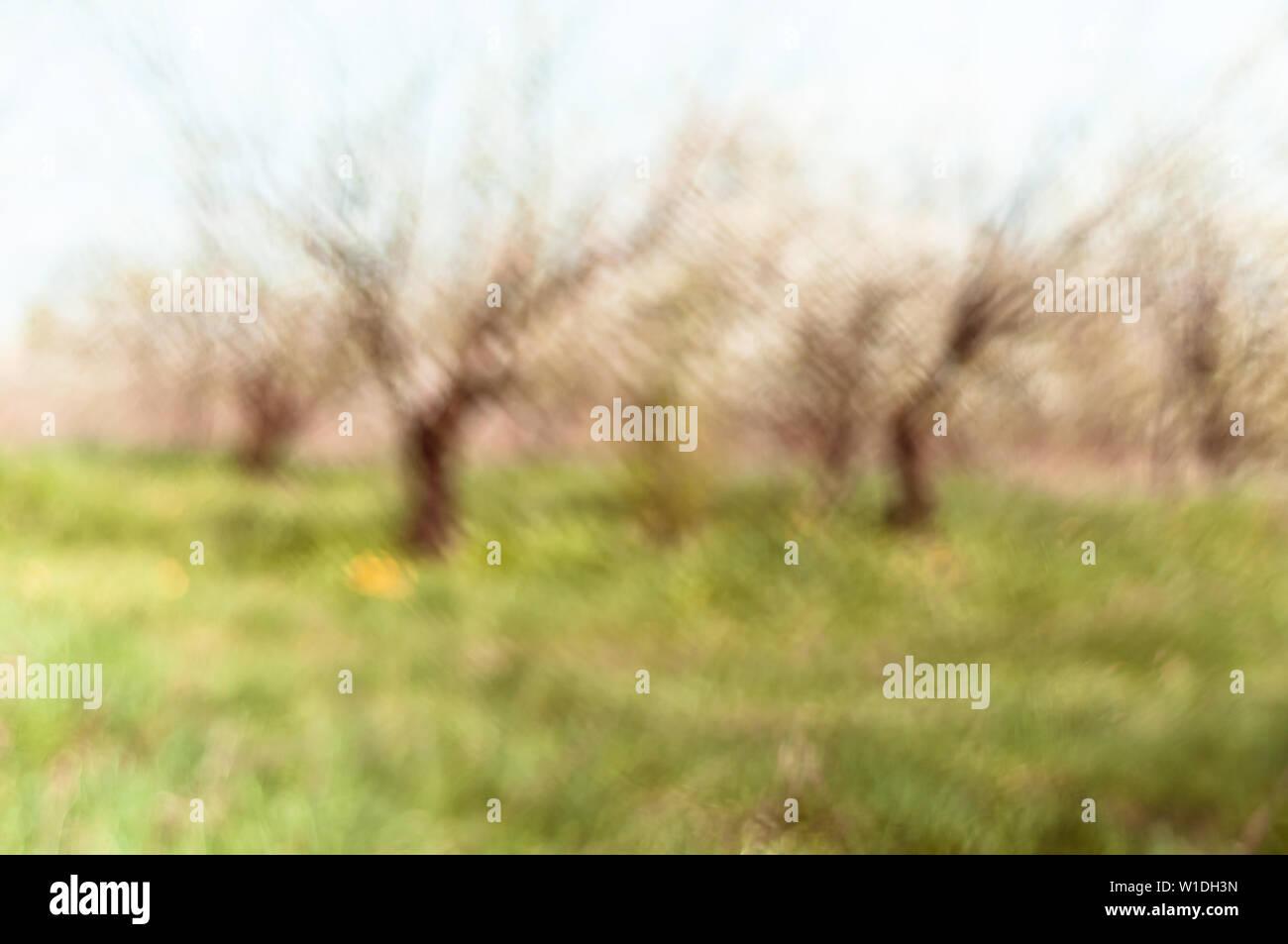 Spring garden background Stock Photo - Alamy