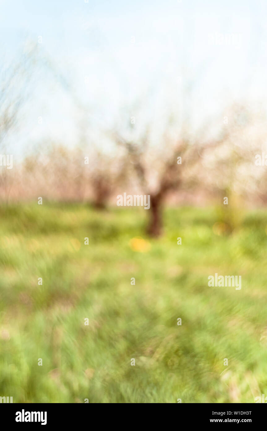 Soft pastel spring grass background hi-res stock photography and images ...