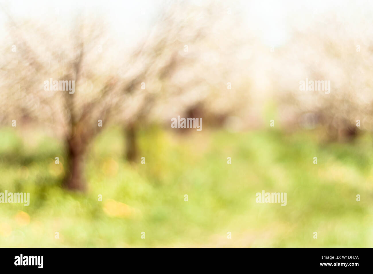 Spring garden background Stock Photo - Alamy