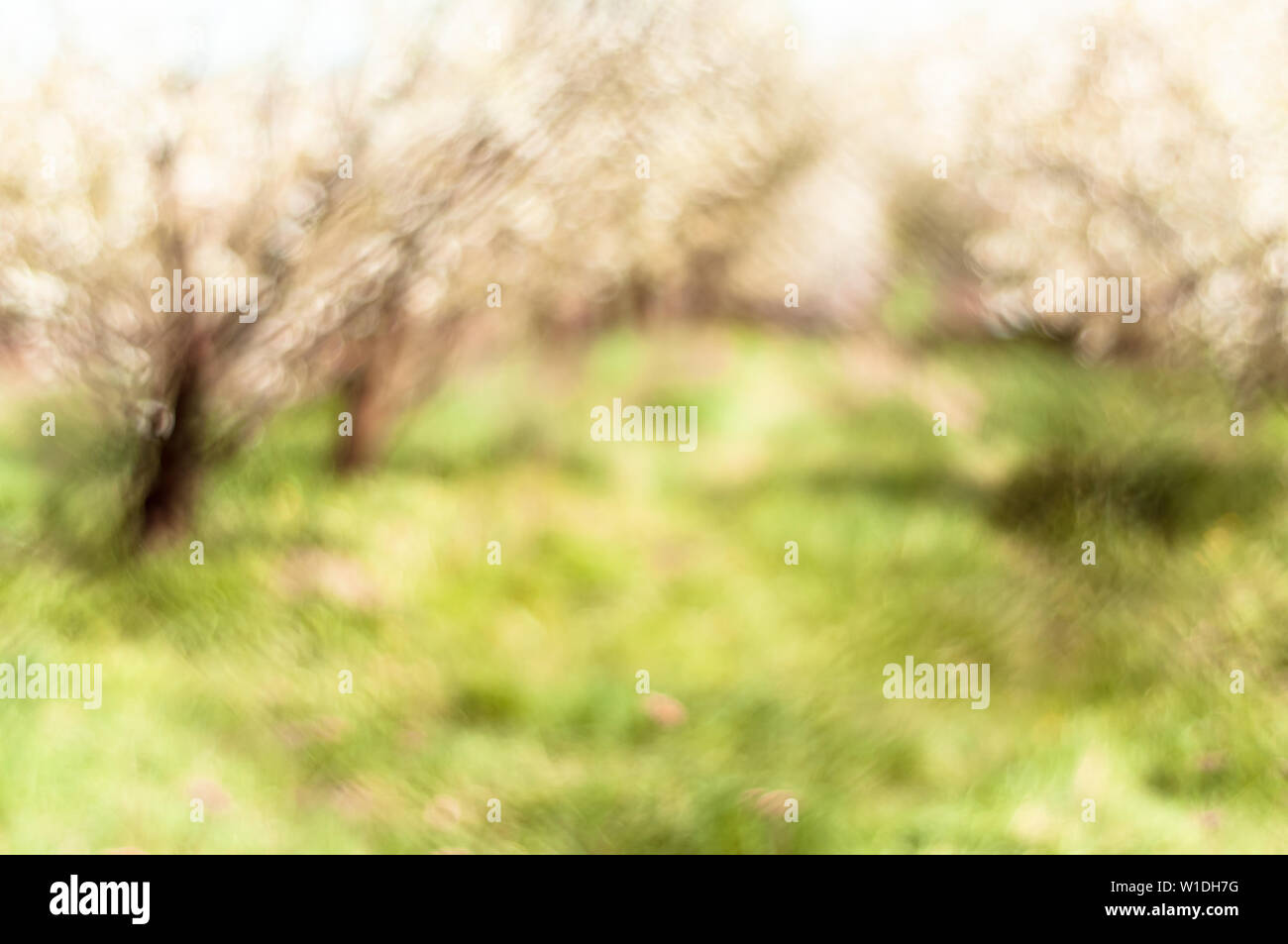 Spring garden background Stock Photo - Alamy