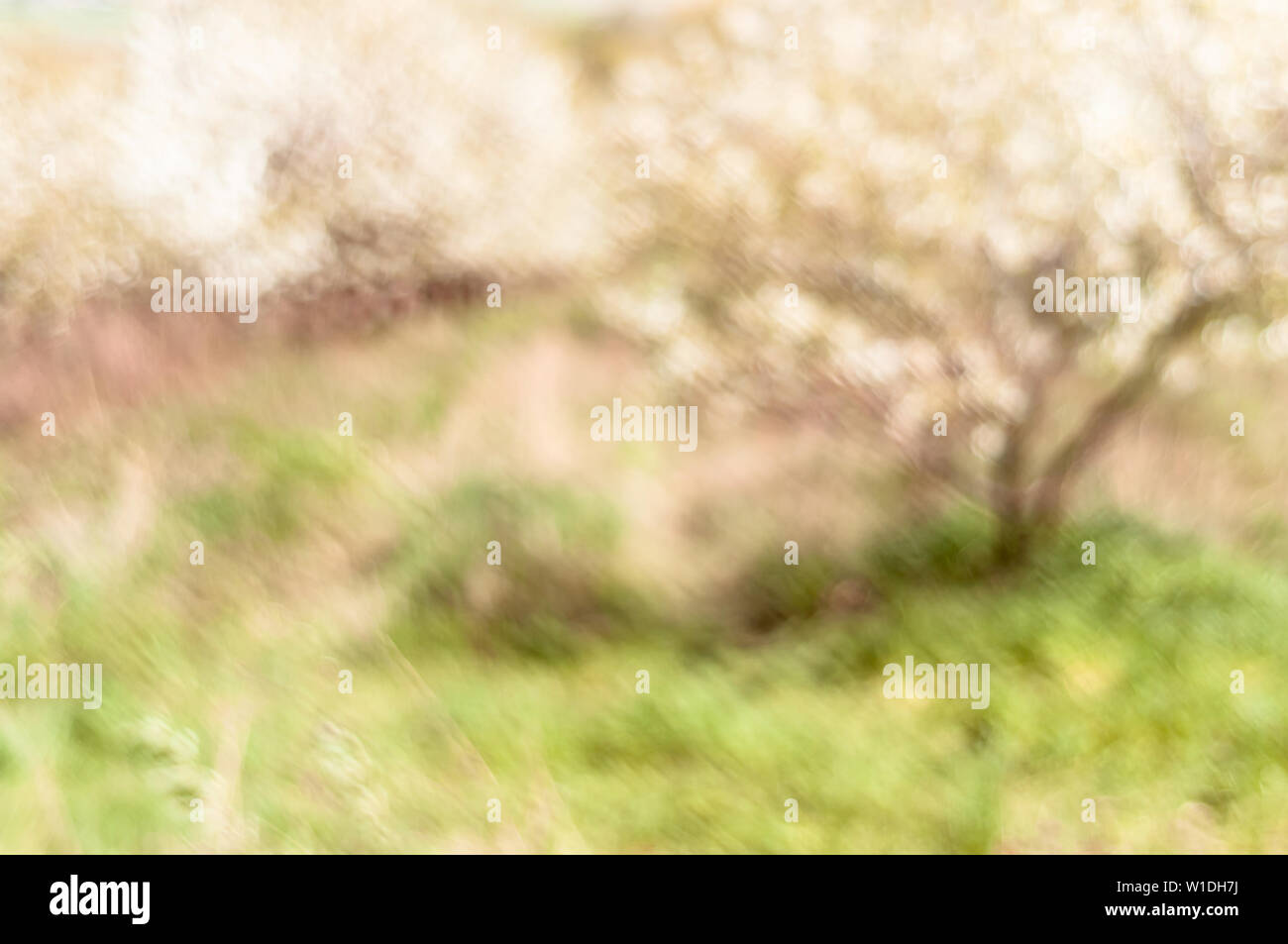 Spring garden background hi-res stock photography and images - Alamy