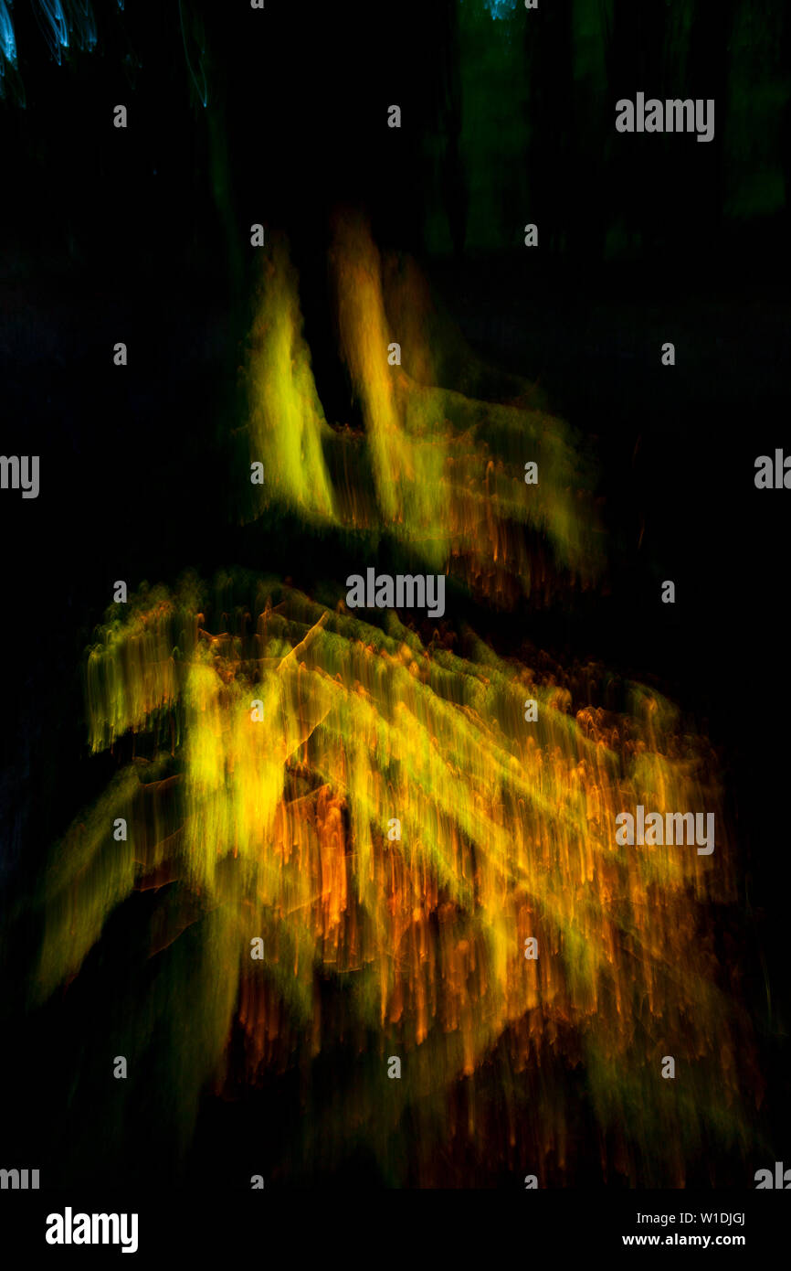 Hayedo Otzarreta Beech Forest. Gorbeia Natural Park. Bizkaia Province ...