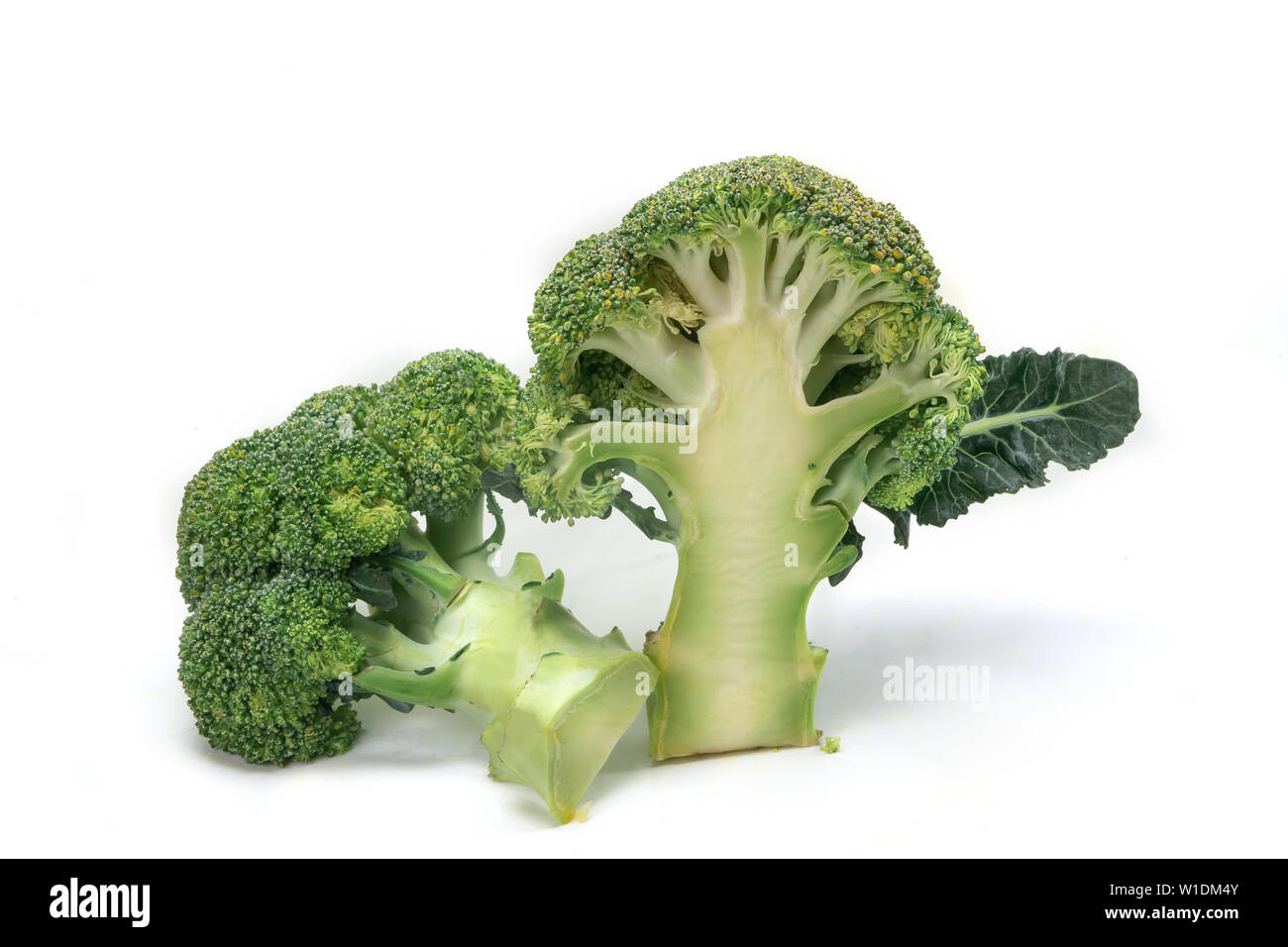 Broccoli in isolated white background Stock Photo - Alamy