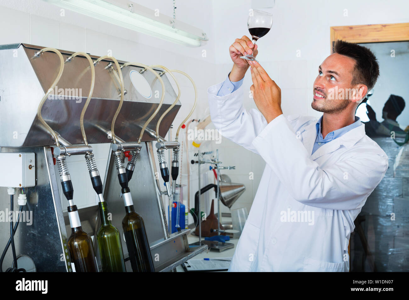 Portrait of young smiling charming male winery worker with bottling ...