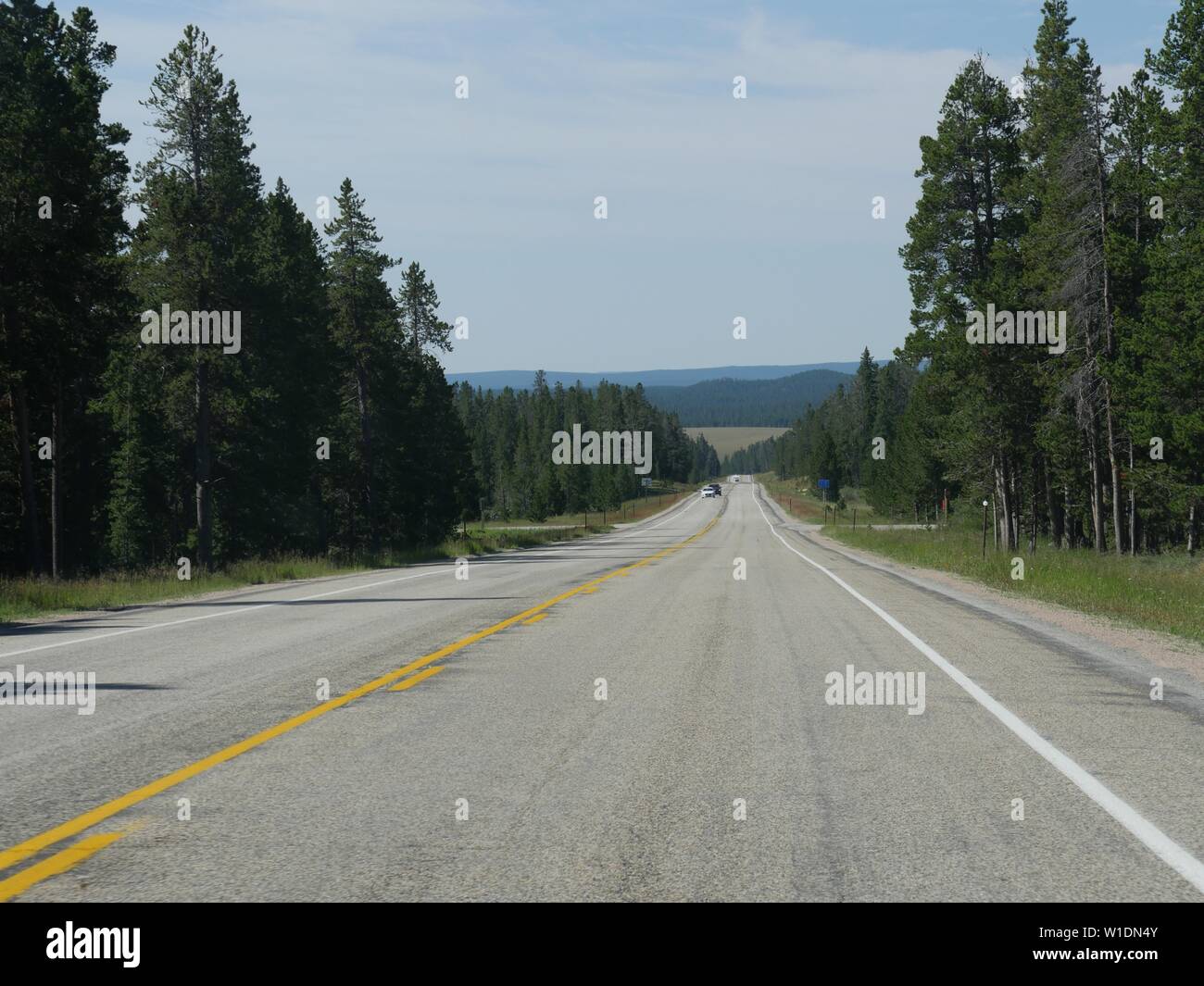 Wyoming, USA--July 2018: Pleasant drive with tall trees along Highway ...
