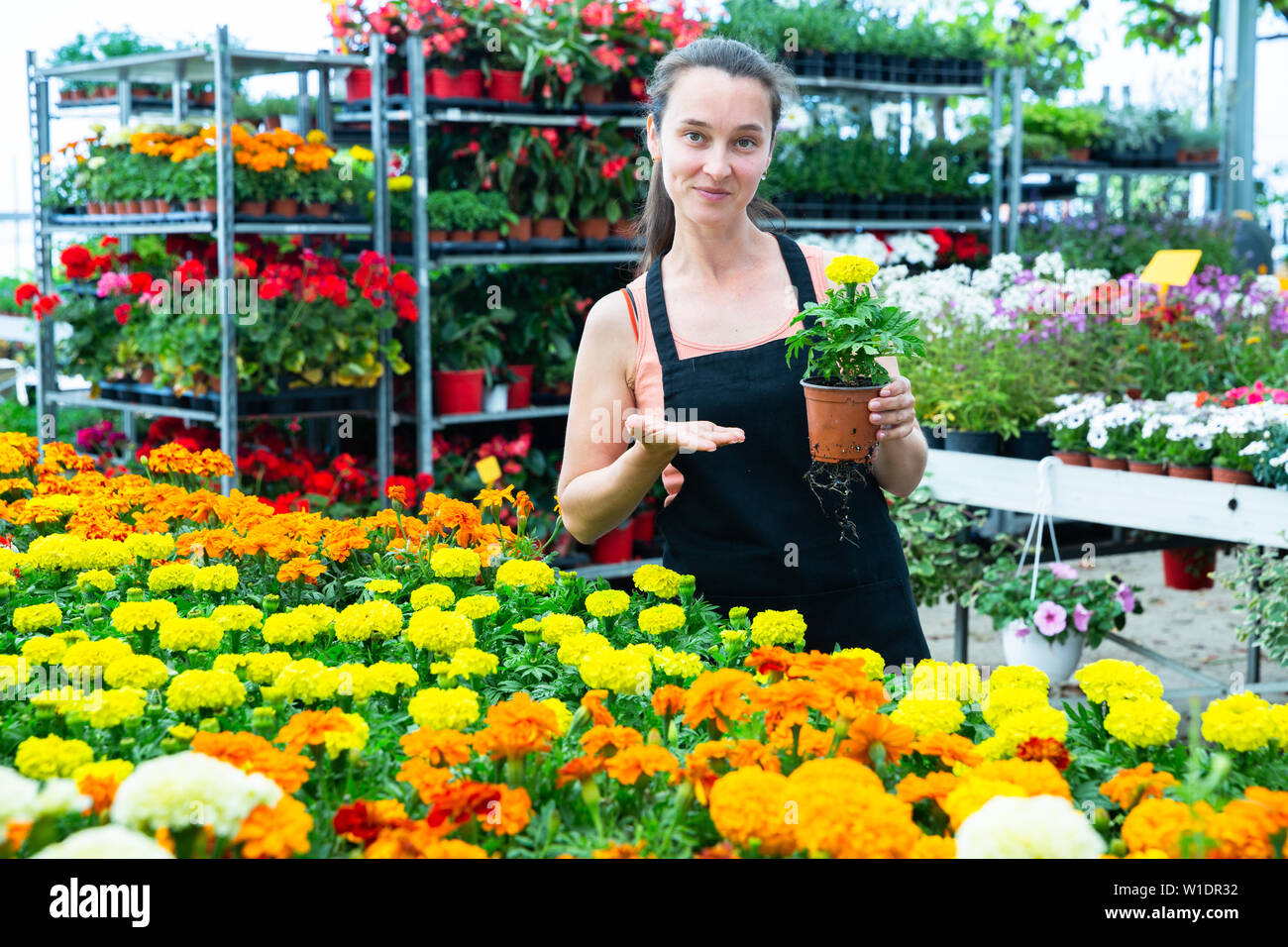 Female horticulturist working flowers hi-res stock photography and ...
