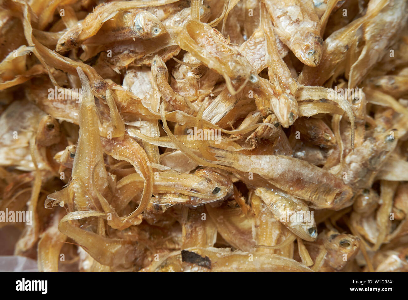 Dried fish for sale at the Tamu Muhibbah central food market in Miri ...