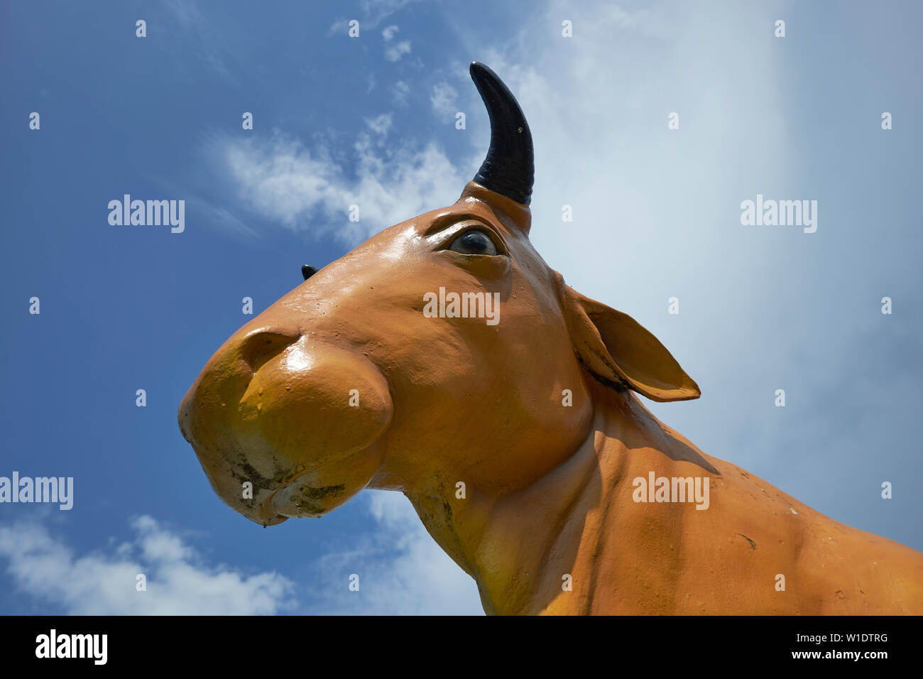 Chinese zodiac concrete sculpture of a cow, bull at the impressive, big ...