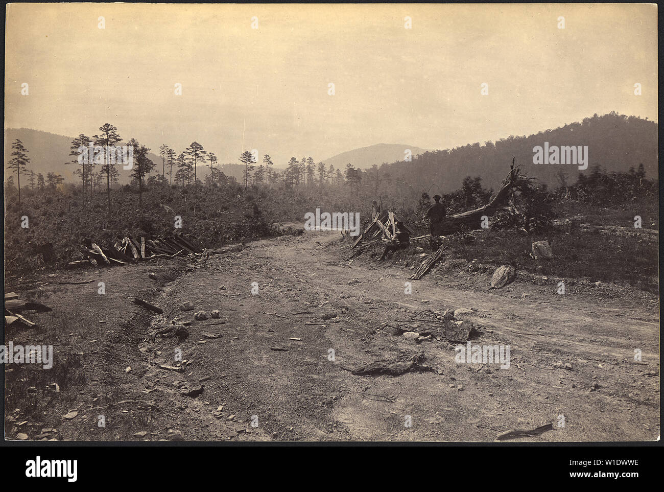 Georgia, Buzzard Roost Stock Photo - Alamy