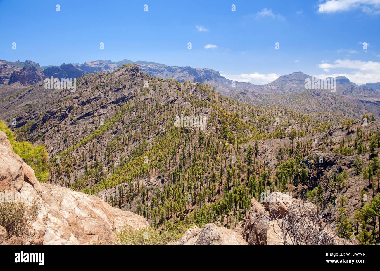Gran Canaria, June, view from a peak Morro de Pajonales towards the ...