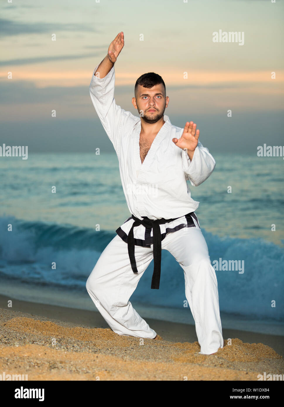 Cheerful man doing karate at ocean quay outdoor Stock Photo - Alamy