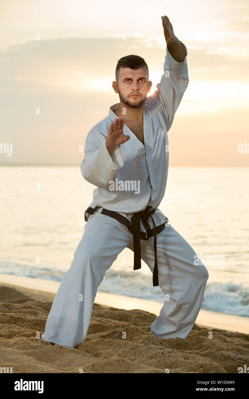 Ordinary guy practising karate kata poses at seaside Stock Photo - Alamy