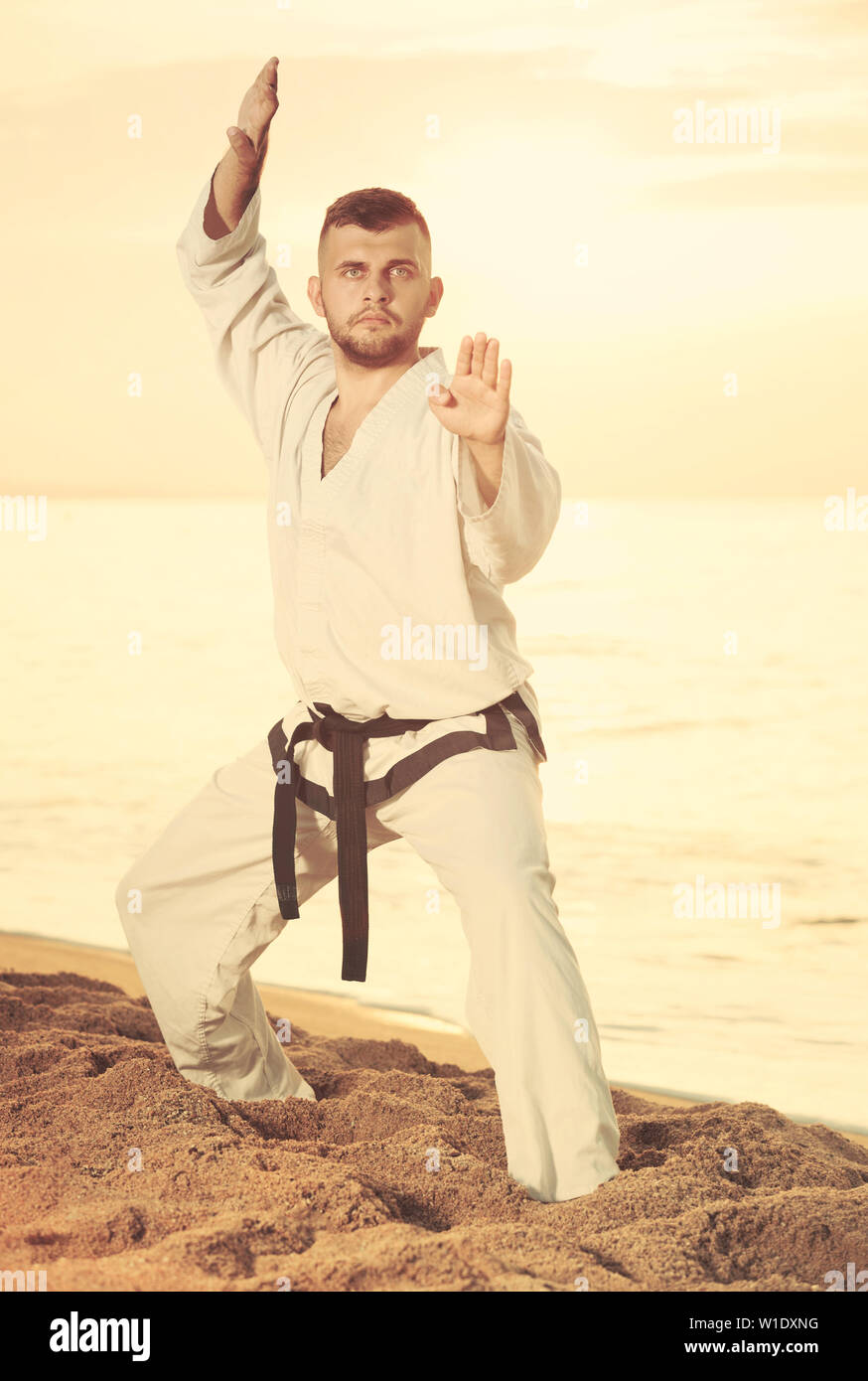 Positive guy doing karate poses at sunset sea shore Stock Photo - Alamy