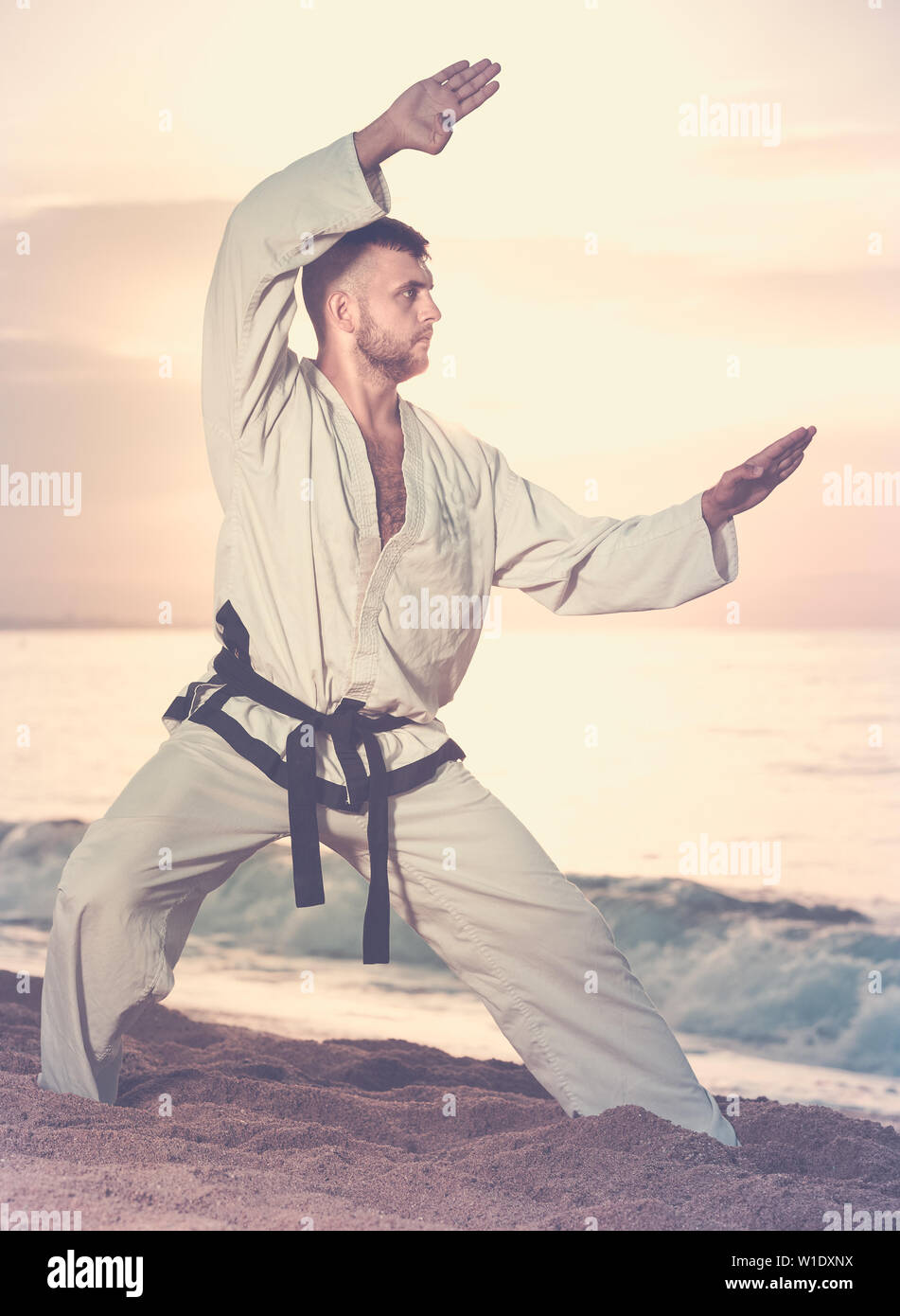 Cheerful guy practising karate kata poses at seaside Stock Photo - Alamy