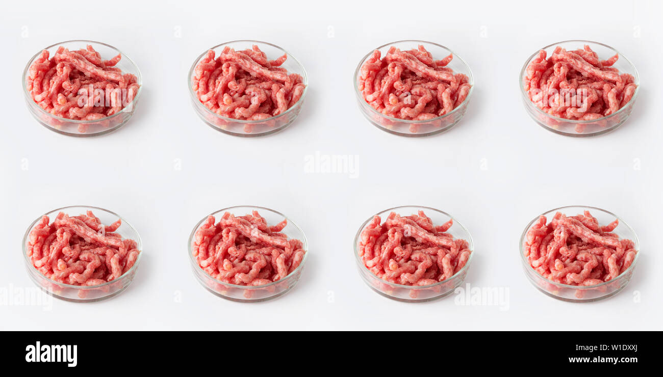 Minced meat in glass Petri on white. Seamless pattern. Chemical ...
