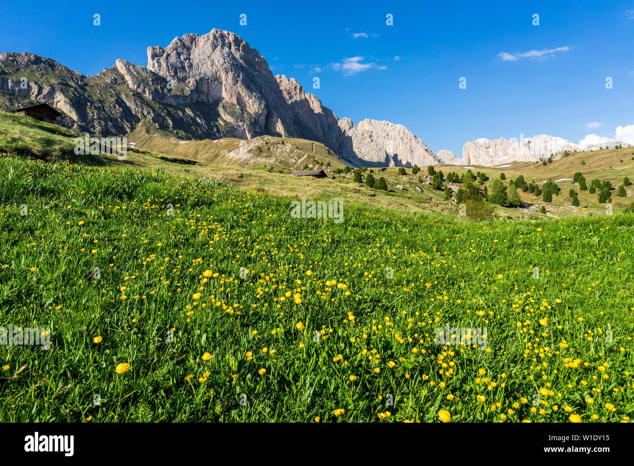 Beautiful mountain landscape with a view of the Seceda peak, Dolomites ...