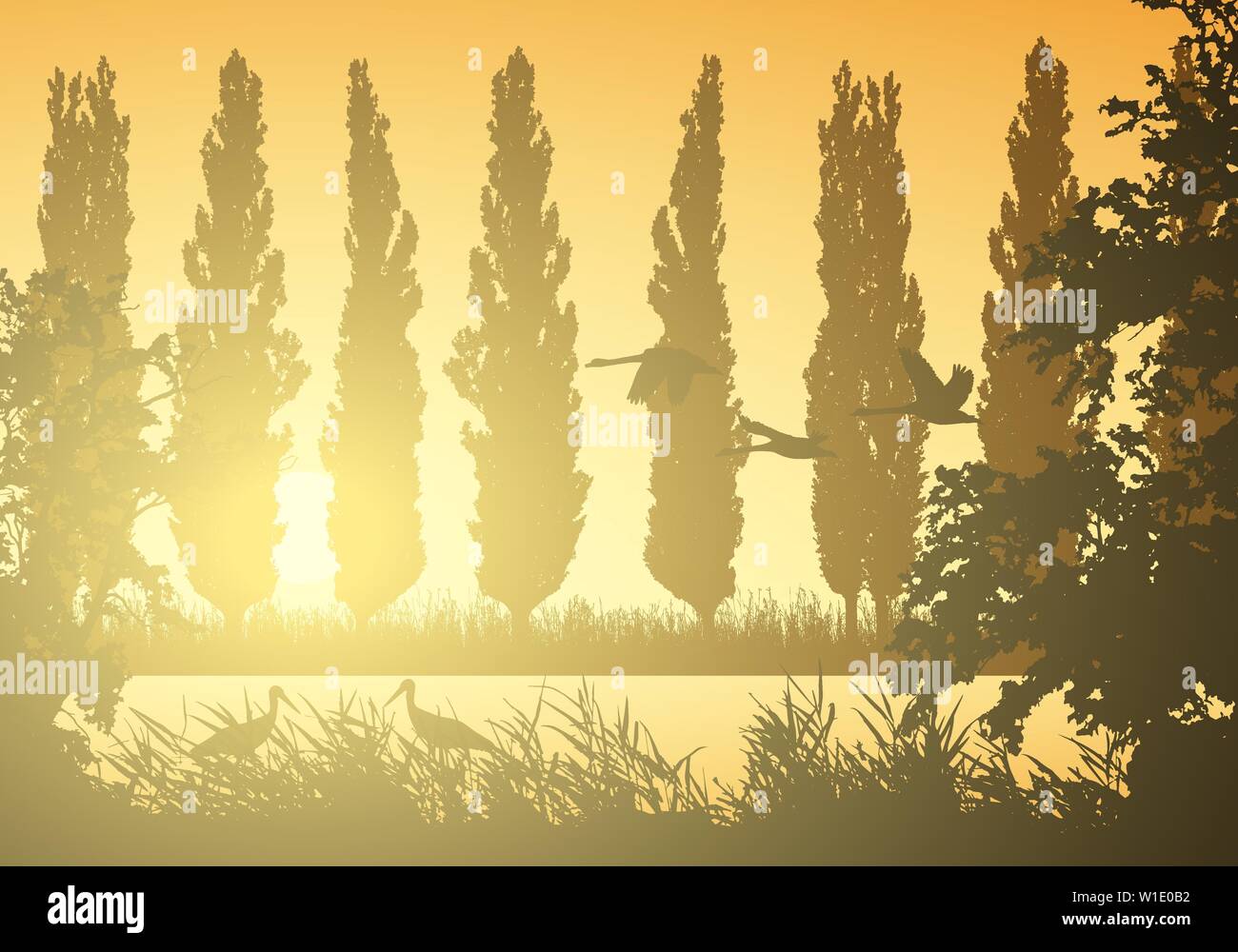 Reeds for nest Stock Vector Images - Alamy