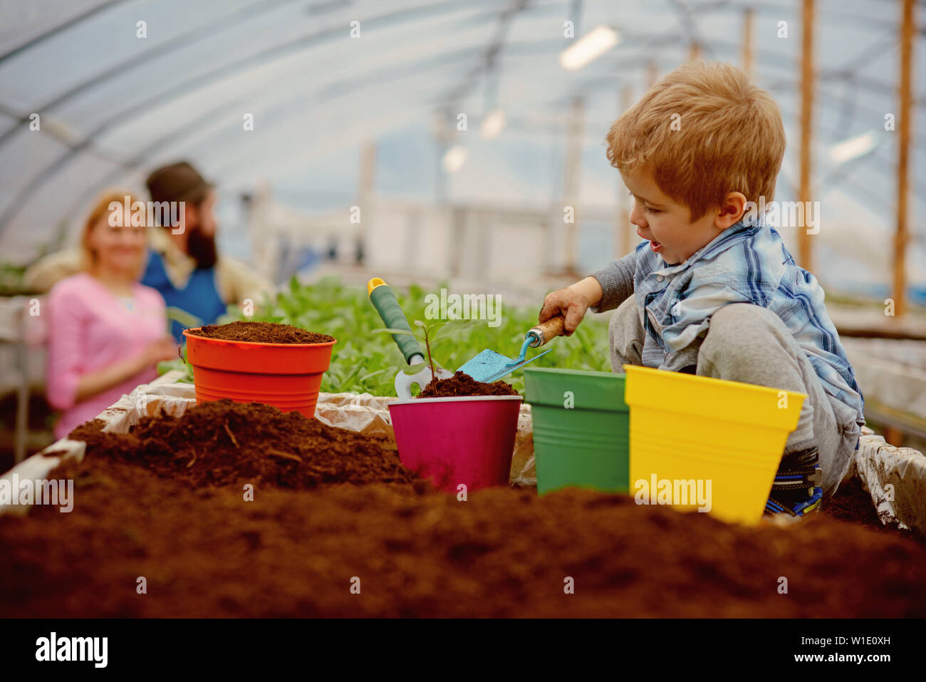 testing soil. small gardener testing soil in greenhouse. farm expert ...