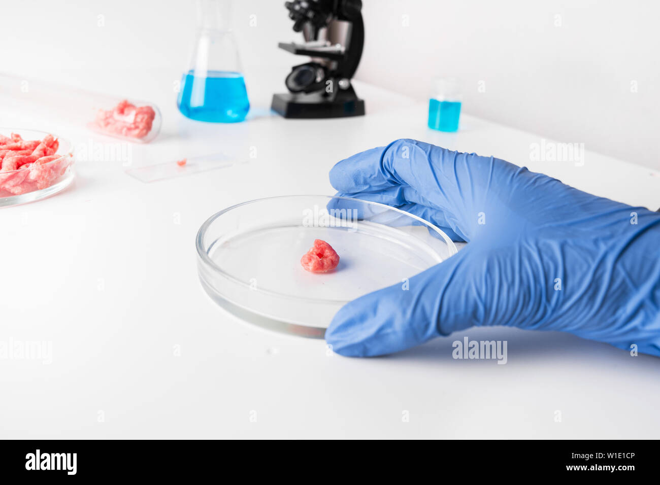 Minced meat in Petri dish in hands scientist. Close up. Chemical ...
