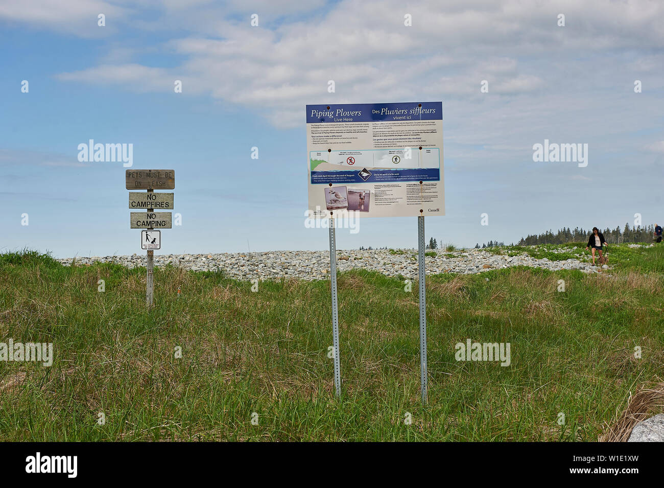 Piping plover protection hi-res stock photography and images - Alamy