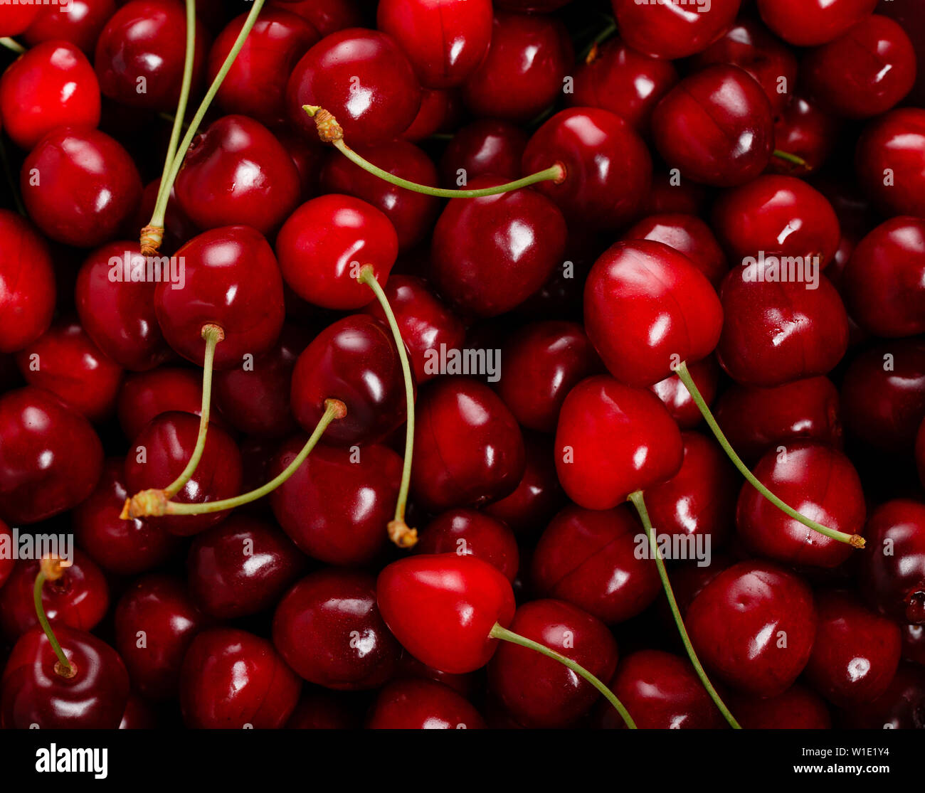 Fresh red ripe cherries with cuttings and leaves, abundant background ...