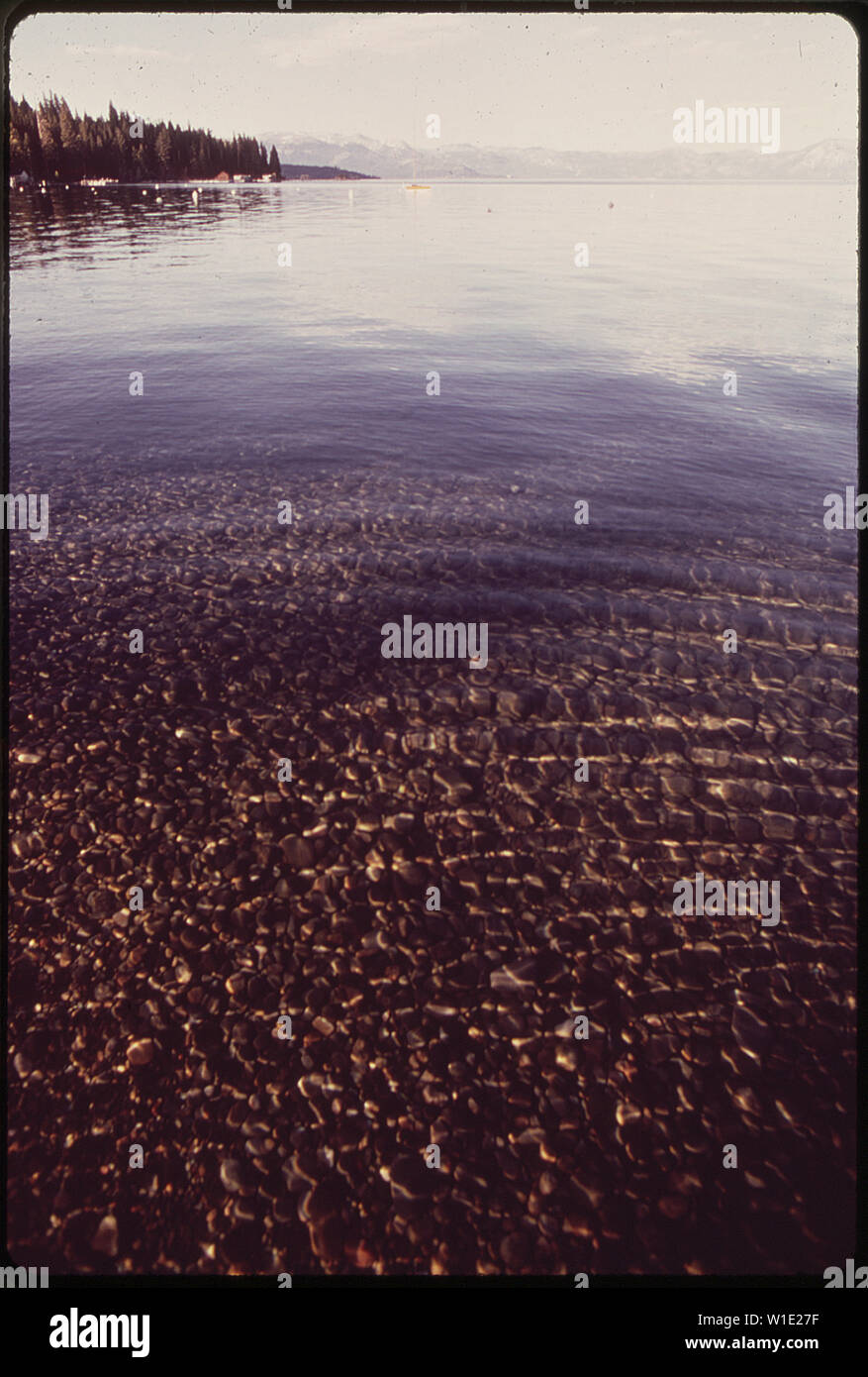 Gradations Of Algae And Silt From Clear Shore Line - Coast Guard Shores ...