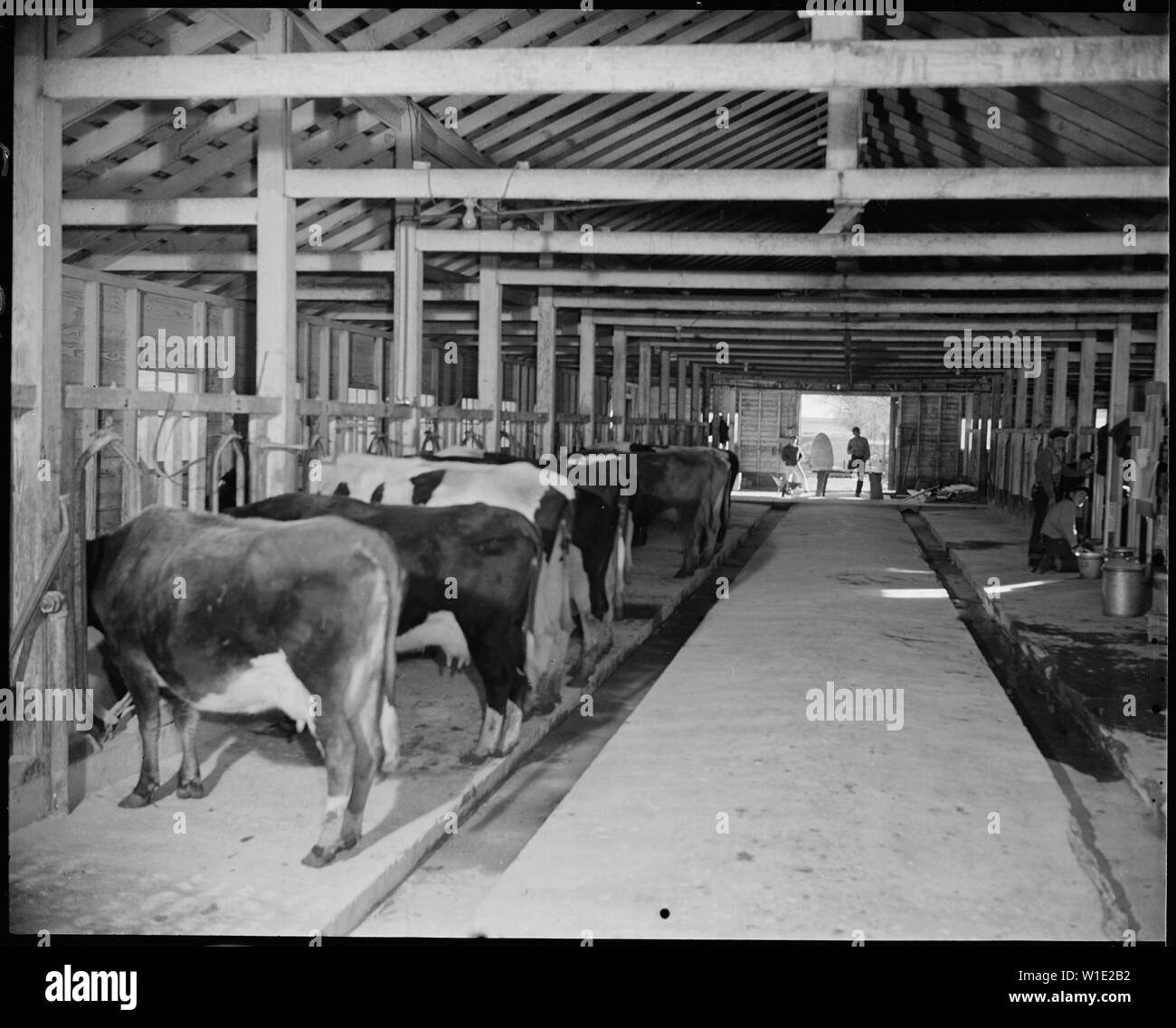 Granada Relocation Center, Amache, Colorado. A partial view of the ...