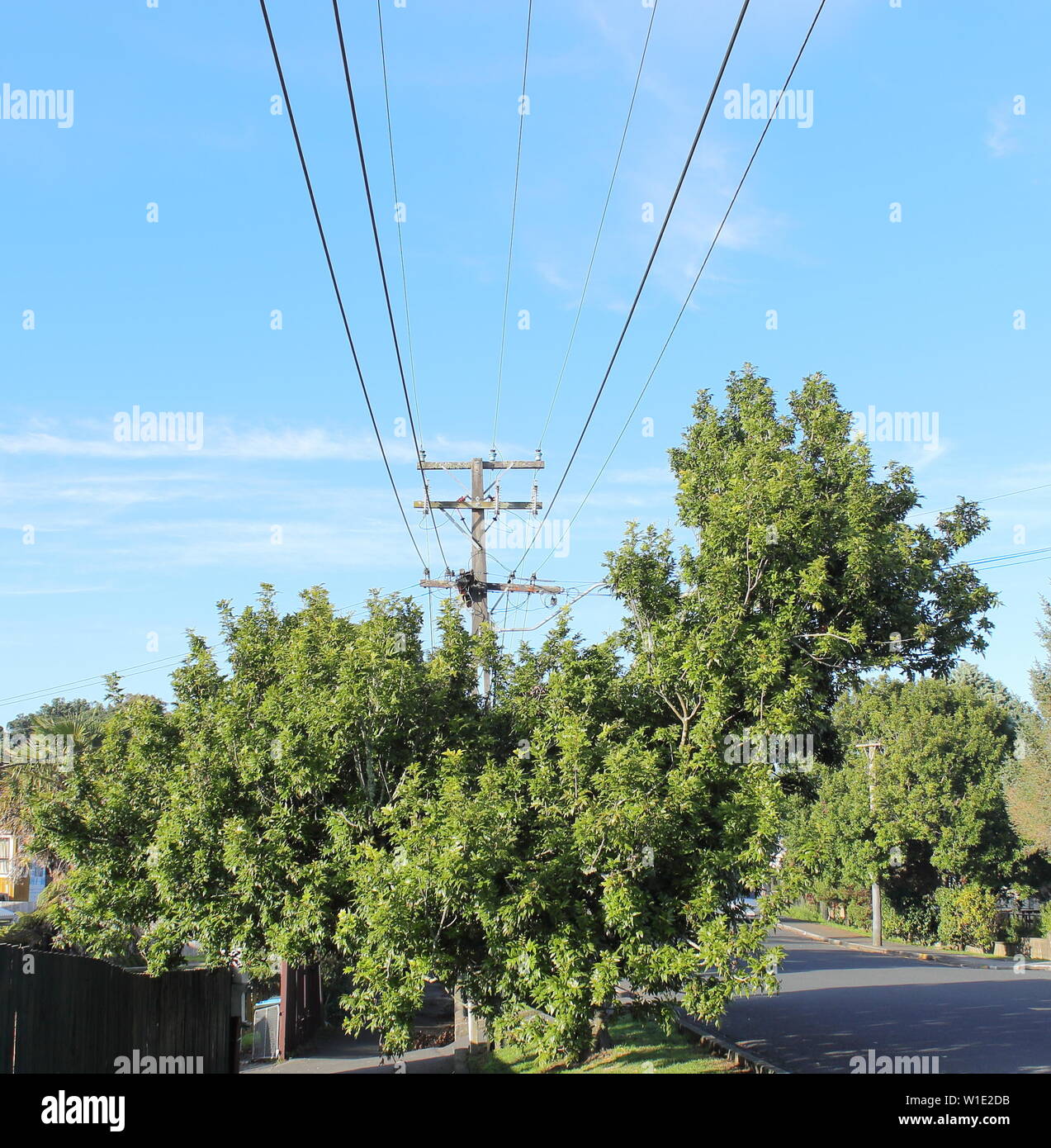 Grid poles hi-res stock photography and images - Alamy