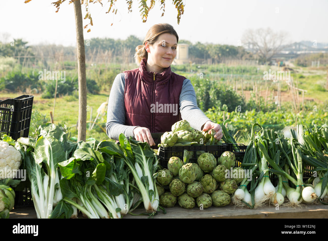 Portrait of friendly woman standing behind the counter with fresh ...