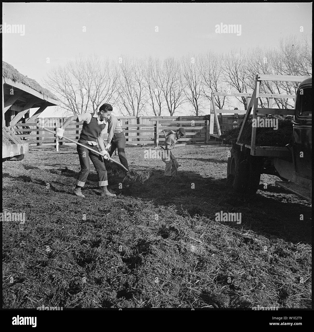 Granada Relocation Center, Amache, Colorado. Ag students cleaning the ...