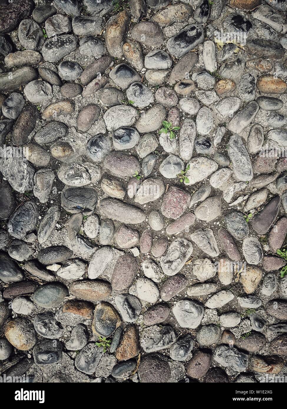 Color image of a pavement made of round stones Stock Photo - Alamy