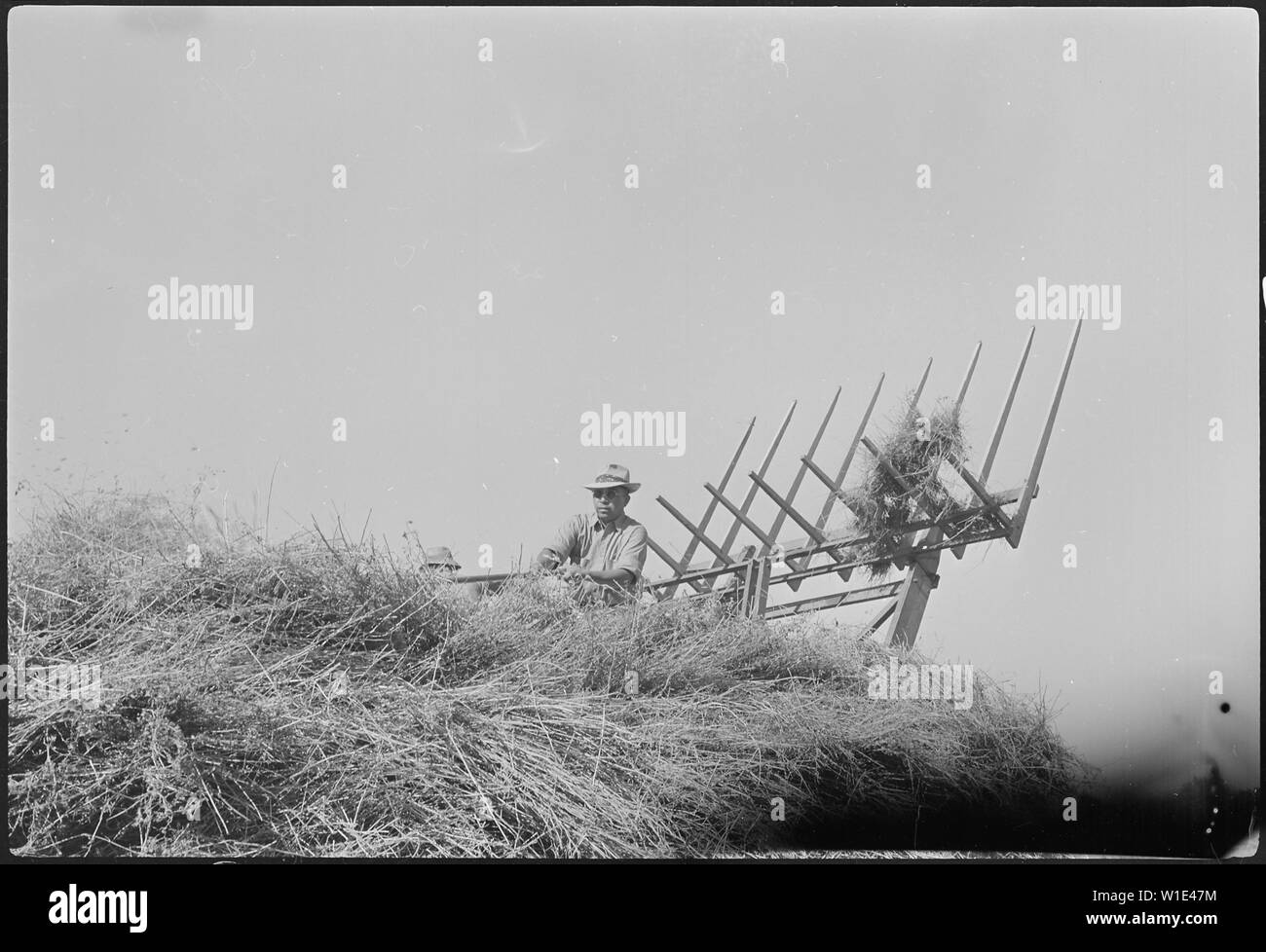 Granada Relocation Center, Amache, Colorado. Hay operations on the ...