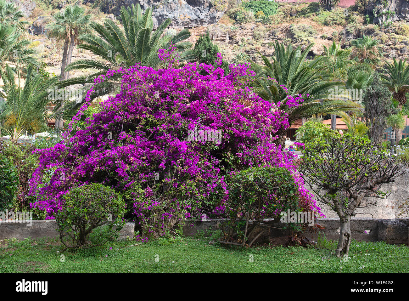 Pink world scenery hi-res stock photography and images - Alamy